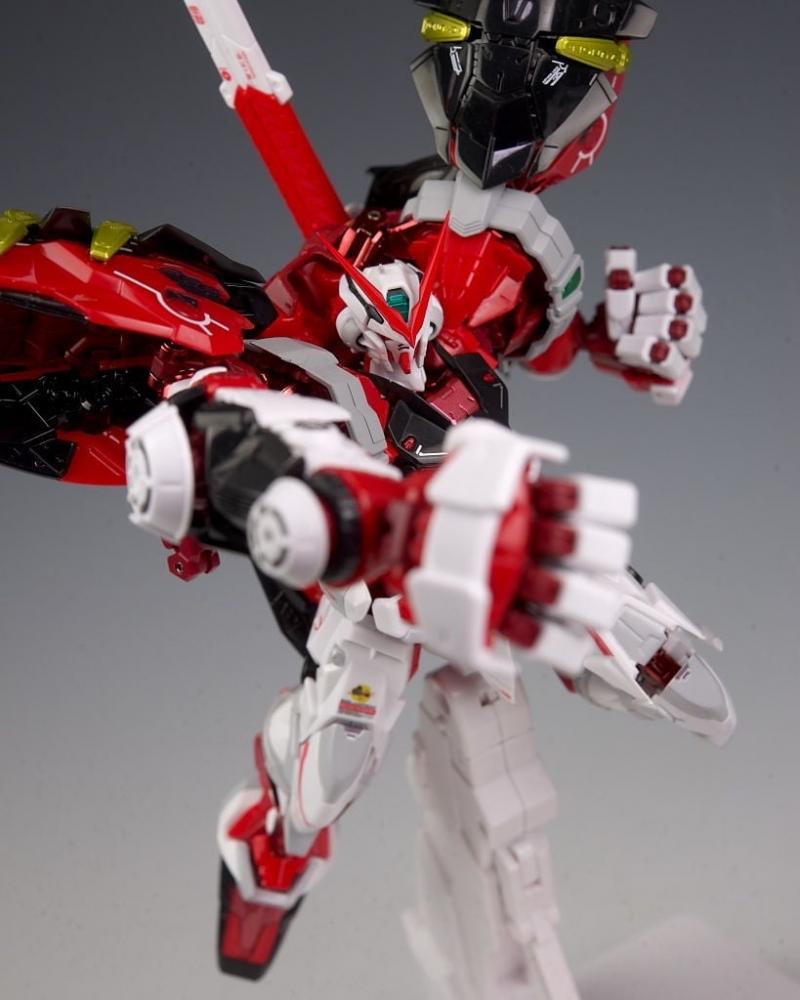 DABAN 8814 MG 1/100 Powered Gundam Astray Red Frame & 150 Gerbera ...