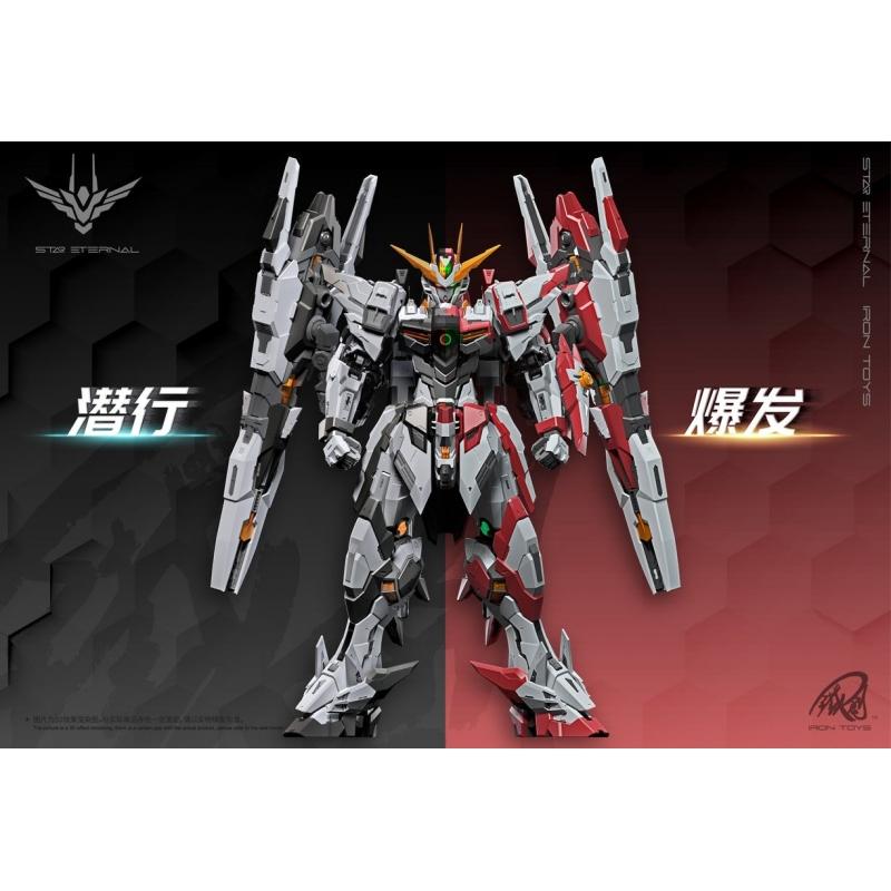 [IRON TOYS] 1/100 TC-02 Star Eternal Plastic Model Kits with Metal ...